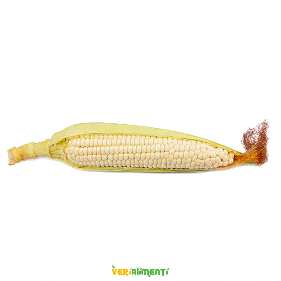 Mazorca Blanca Fresca en Cali | Textura y Sabor Suave – VeriAlimenti®